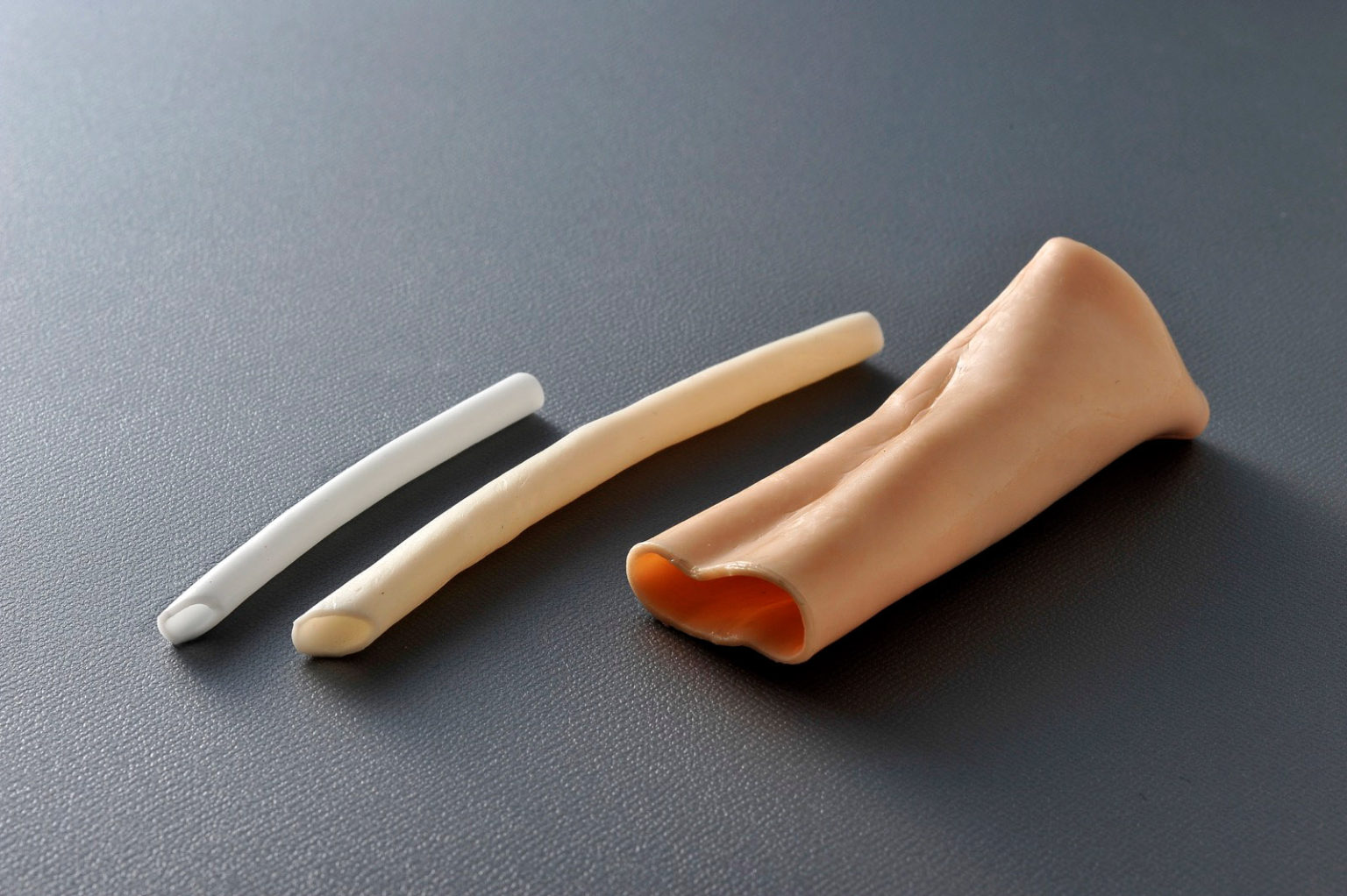 Blood vessel model | WetLab