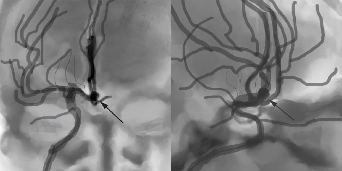 About WetLab | WetLab